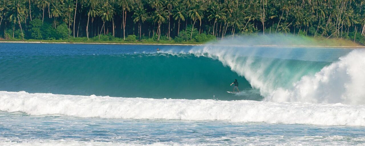 NIAS - Indo Surf and Lingo